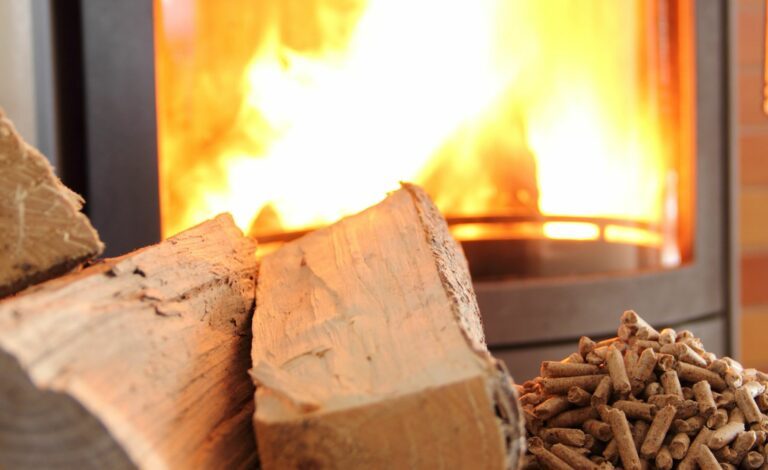 Fachliteratur zu Nachhaltigkeit und Umweltschutz » Holzofen: Mollig ...